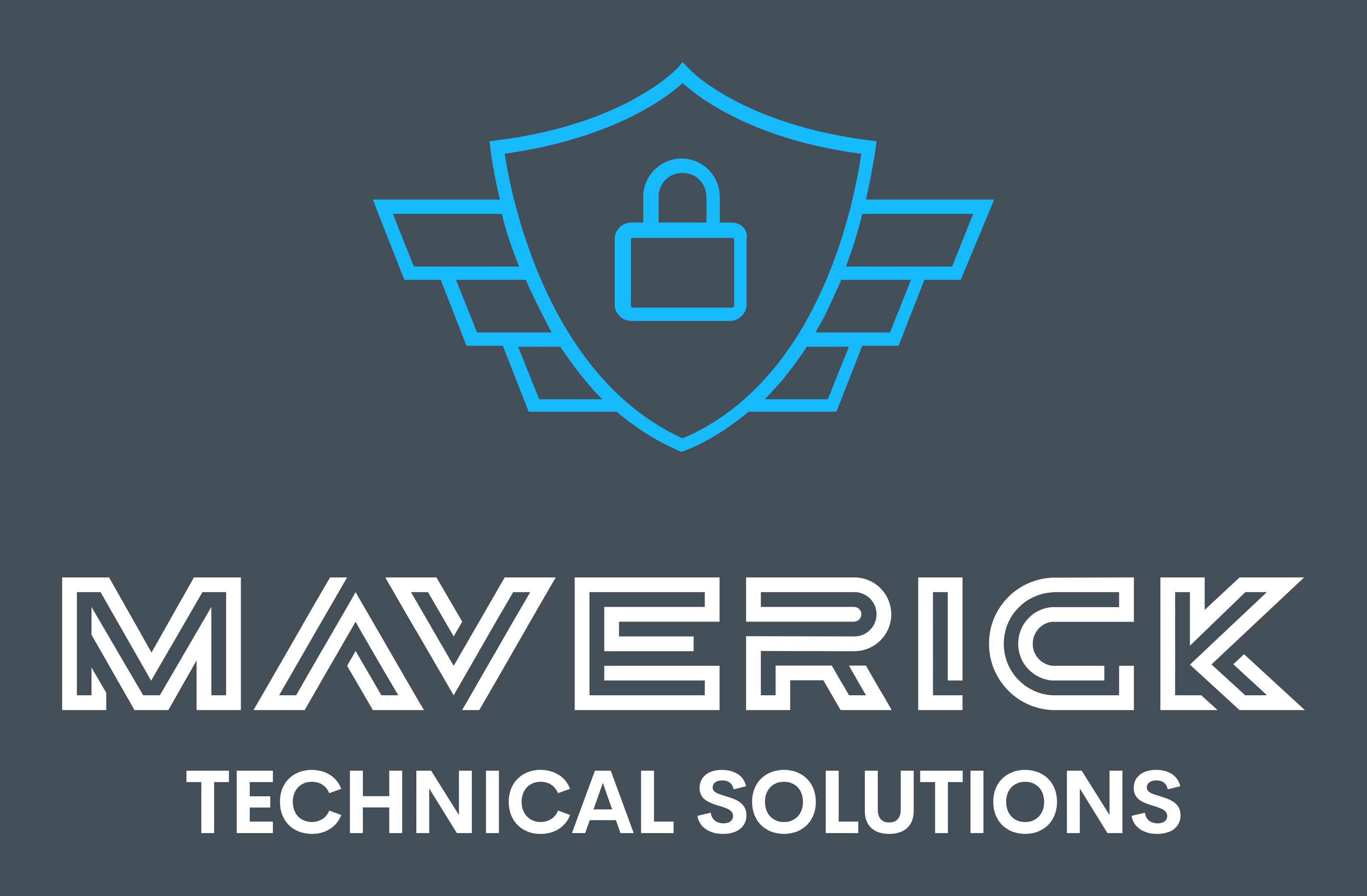 Maverick Technical Solutions - Access Control, Biometrics, Time ...